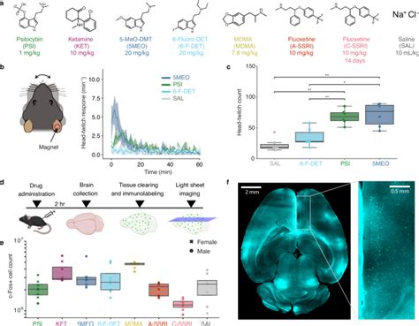 Classification Of Psychedelics And Psychoactive Drugs Based On Brain Wide… Neuroscience School