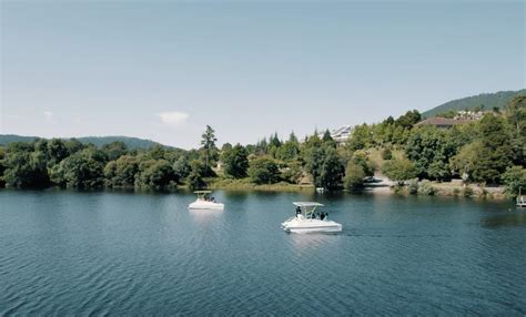 Eco Boat Ride on the Miño River
