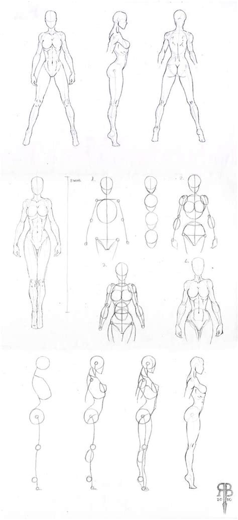 Rofelrolf Professional Digital Artist DeviantArt Body Shape Drawing Human Body Drawing