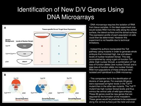 Ppt Expression Profiling Using Dna Microarrays Powerpoint