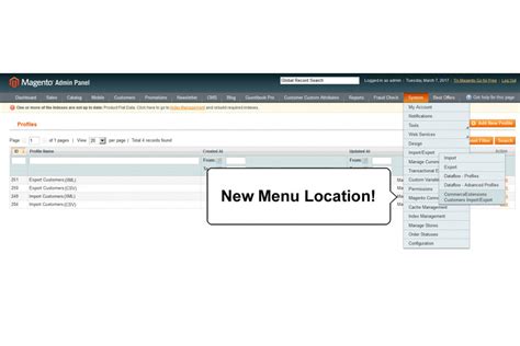 Import Export Customers Magento Extension
