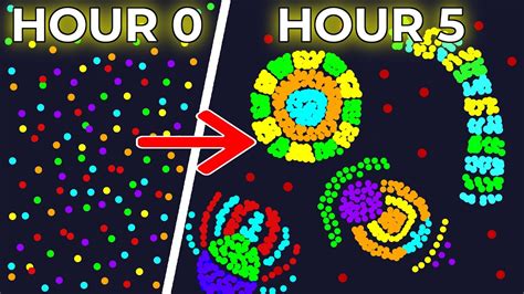 simulating particle life youtube