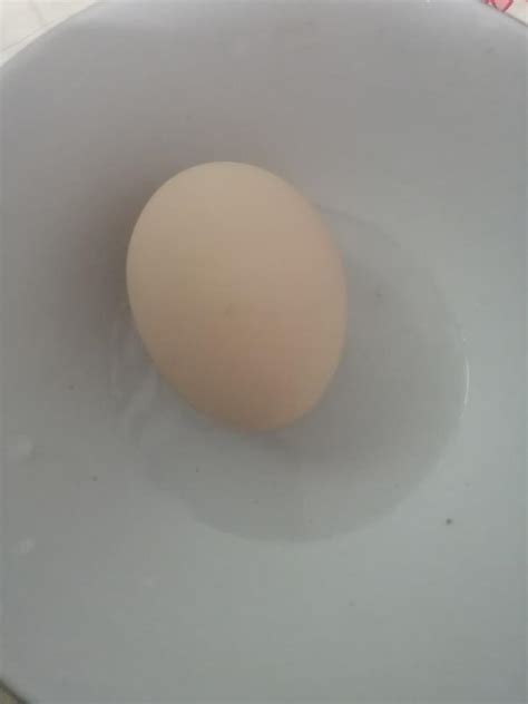 【煮鸡蛋的做法步骤图，煮鸡蛋怎么做好吃】渝在学做饭 0基础版下厨房