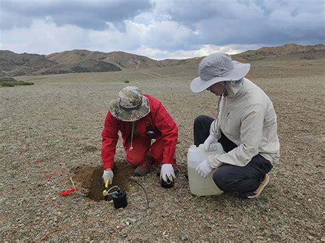 Integrated Geophysical Resistivity And Ip Node Underground Mineral