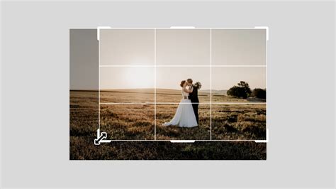 Automatic Crop With Our Cropping Ai Tools Imagen