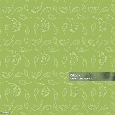 그린 케일 패턴 신선한 잎이 많은 야채 식물 벡터 텍스처 그림입니다 건강한 녹색 채식 음식 벽지 케일 장식 배경 손으로 그린