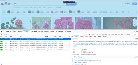 python implements crawling baidu pictures