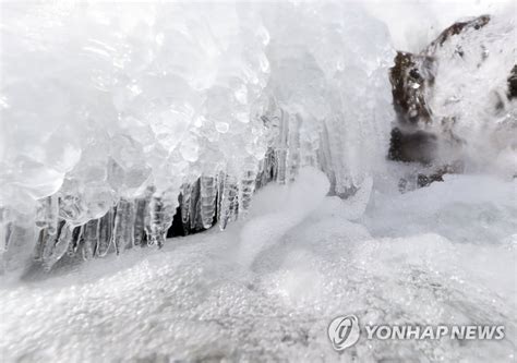 한파에 고드름 꽁꽁 연합뉴스