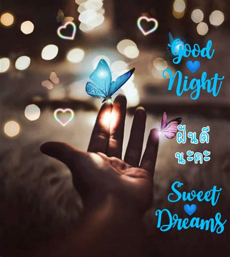 ราตรีสวัสดิ์ 💙 ราตรีสวัสดิ์ ฝันดีราตรีสวัสดิ์ การนอน