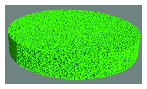Microtomography 3d Image Reconstruction Of The Pore Volume Of The
