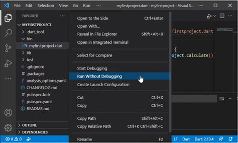 Run Your First Dart Example In Visual Studio Code O Planning Org