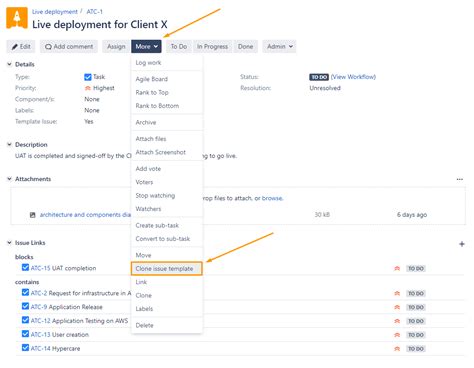 cloning process jira apps from vilisoft