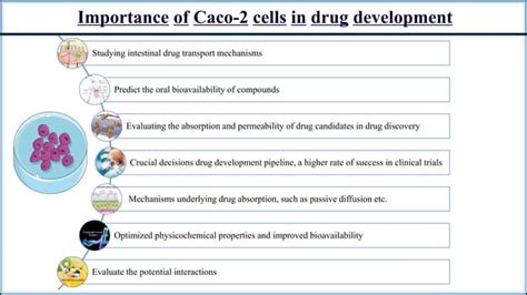 Cell Permeability Assays Caco 2 Cell Permeability Pampa Membrane