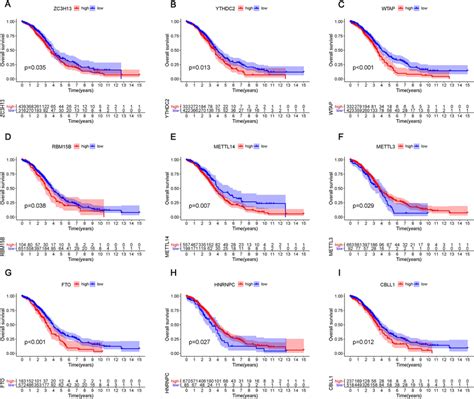 survival analysis of m6a regulators in tcga datasets and gse140082