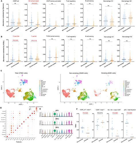 Scrnaseq Revealed Specific Immune Cell Types Decline In Smoker Hnscc Download Scientific