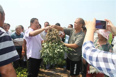 河南益人争做中国功能花生品种的领跑者 知乎