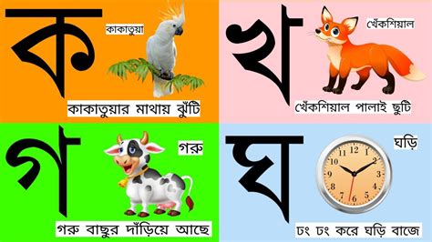 বাংলা বর্ণমালা ক খ গ ঘ ক তে কাকাতুয়া কাকাতুয়ার মাথায় ঝুঁটি বাংলা ব্যঞ্জনবর্ণ Youtube