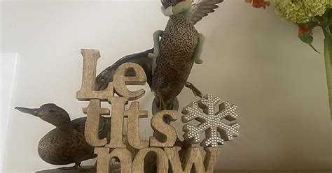 Anal Bum Cover Album On Imgur Anal Bum Cover Album On Imgur