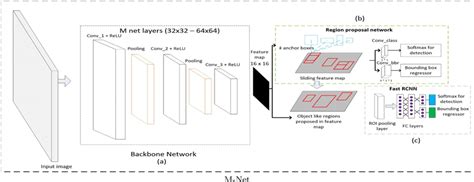 Detail Of Architecture For M Net Multi Scale Faster Rcnn Depicting Download Scientific Diagram