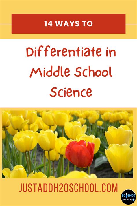14 Ways To Differentiate Instruction Artofit