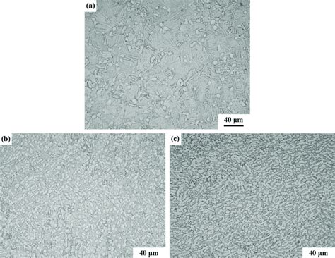 Optical Micrographs Of Ti 64 Alloy Annealed In α β Region At A 1246