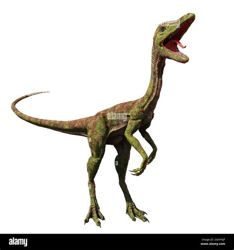 Compsognathus Minecraft Full Size