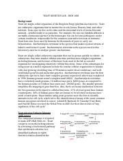 Babe Exercise Worksheet Yeast Genetics II Docx YEAST GENETICS LAB BIOS Background