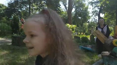 милые котики Youtube