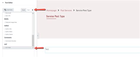 How To Dynamic Iframe In Elementor Scratch Code