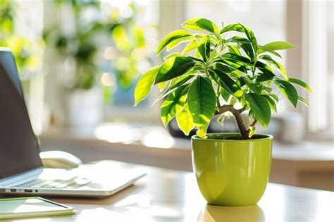 Modern Office Setup With Greenery And Laptop Generative Ai Premium Ai Generated Image