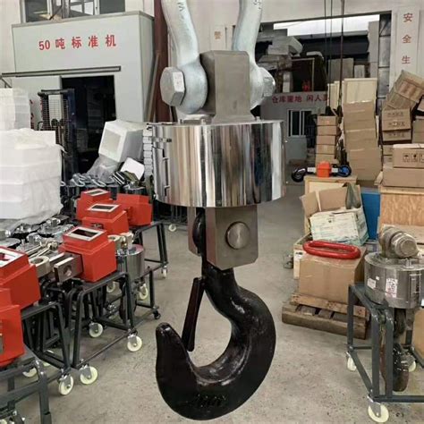 汉衡天车无线可打印吊磅 码头用高清显示50吨重型行车电子吊秤SCS 谷瀑 GOEPE