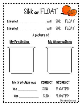 Sink Or Float Experiment By Meredith Rush TPT