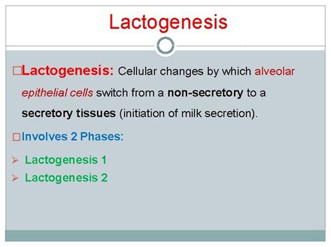 Reproductive Physiology Lecture 8 Hormones Affecting Female Breast
