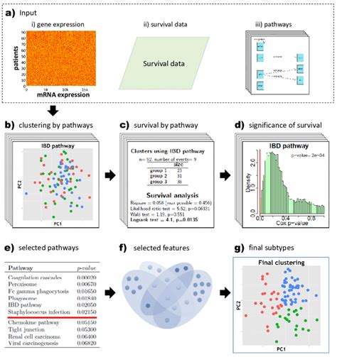 new feature selection pipeline for disease subtyping using biological