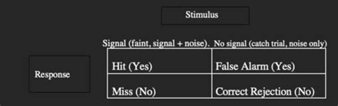 Perception Lecture Exam 2 Flashcards Quizlet