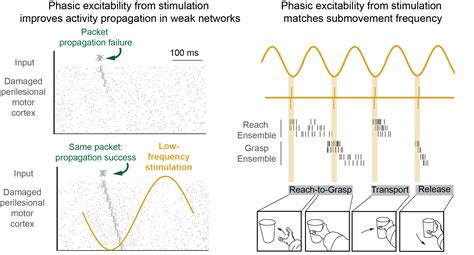 Research Sensorimotor Neural Engineering Lab