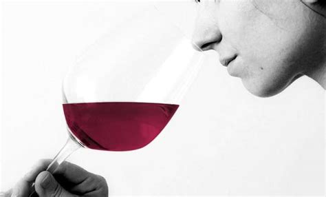 Bizarre ‘facts About Wine And Your Sex Drive Planet Wine