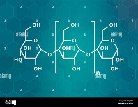 Amylopectin Structure