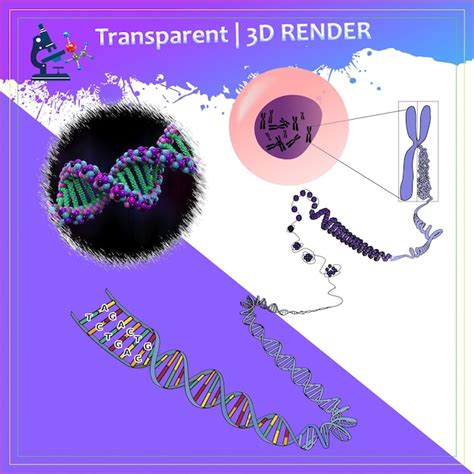 Premium PSD Dna Rna Biochemistry Molecules Structure Protein Nucleic