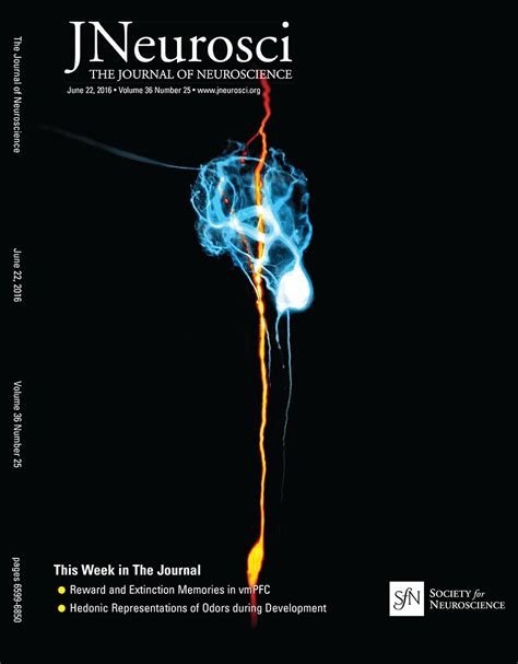 The Role Of The Dorsal Premotor Cortex In Skilled Action Sequences Journal Of Neuroscience