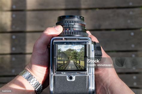 한 남자가 빈티지 뷰파인더 카메라로 자연을 가로지르는 길을 사진으로 찍는다 개인적 시점에 대한 스톡 사진 및 기타 이미지 개인적 시점 나무 날씨 Istock