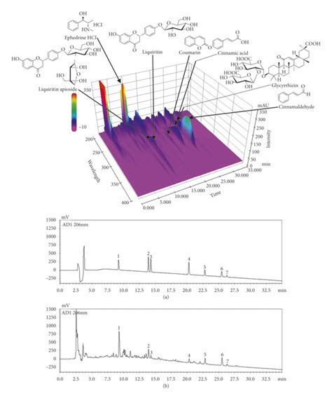 Representative Hplc Chromatograms Of Standard Solution A And Ma Hwang Download Scientific