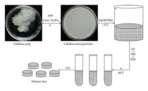 New Semi‐ipn Hydrogels Based On Cellulose For Biomedical Application