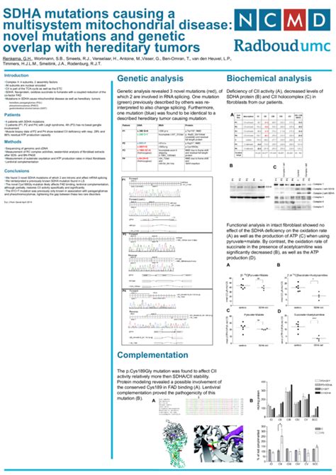 Ppt Sdha Mutations Causing A Multisystem Mitochondrial Disease Novel