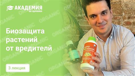 Биологическая защита растений от вредителей Youtube