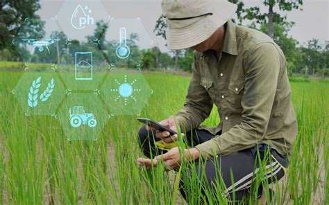 The Future Of Farming Advancements In Agriscience Hyperspectral Imaging Hsi