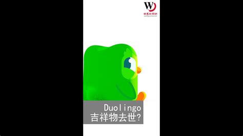 快看世界Duolingo吉祥物Duo去世 帶你看完情勒鳥的一生 YouTube