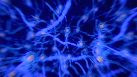 Formerle — Mit University Of Vienna The Future Of Brain Disease Detection Visualization