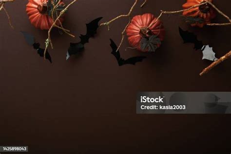 할로윈 배경 검은 박쥐 거미 호박 해골 및 할로윈을위한 잎의 무리 갈색 또는 어두운 배경에 검은 종이 박쥐 실루엣 가을 장식 할로윈 개념 상단 보기 0명에 대한 스톡 사진