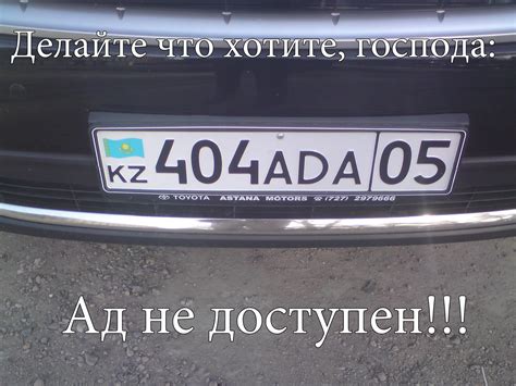 делайте что хотите)) | Пикабу